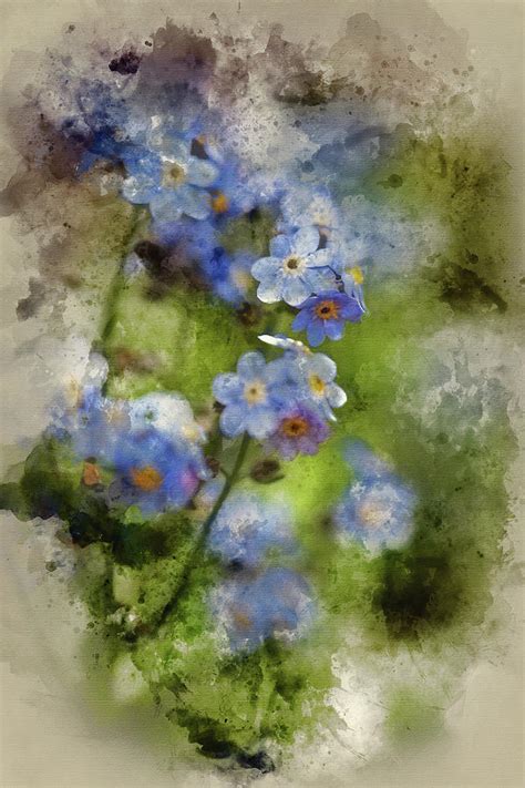 Forget Me Not Watercolor