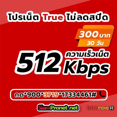 สมัครเน็ตทรู 300 บาท ไม่ลดสปีด 30 วัน ความเร็ว 512 Kbps