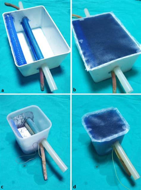 Training Models Ab And Assessment Models Cd Download Scientific Diagram