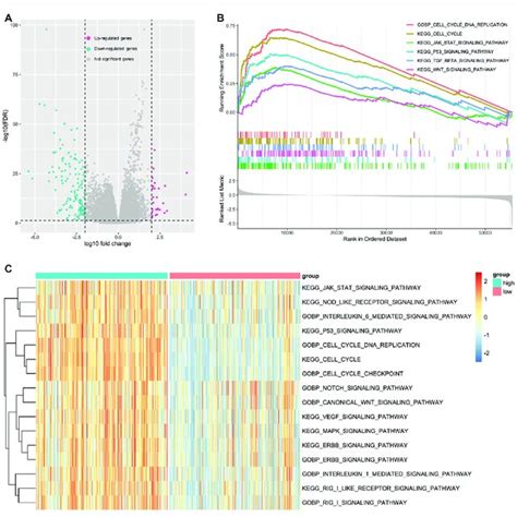 Protein Protein Interaction Networks Of Cytoskeleton Associated Protein