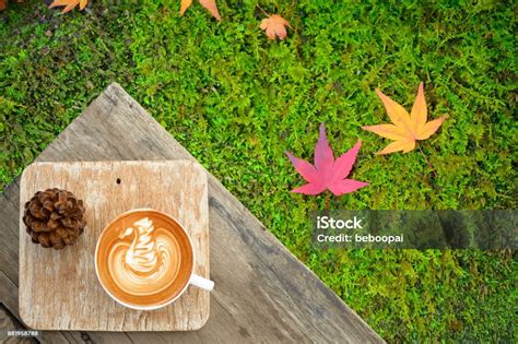 커피 라 떼와 커피 원두가 오래 된 나무 껍질에 화려한 단풍나무의 3 잔은 정원 이끼에 나뭇잎 계절 하 고 아름 다운 휴식 개념 0명에 대한 스톡 사진 및 기타 이미지