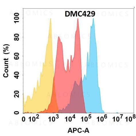 Anti Cd81 Antibodydmc429 Igg1 Chimeric Mab