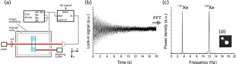 Figure 1 From Nuclear Spin Precession In Mems Vapour Cells Key