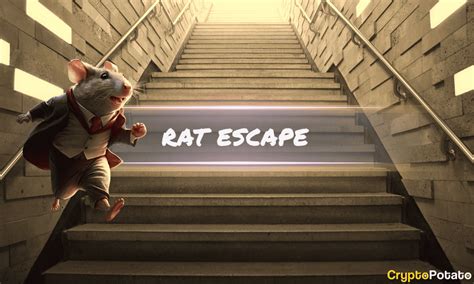 Viral Meme Coin Rat Escape Rat Launches With 1000 Holders In Days
