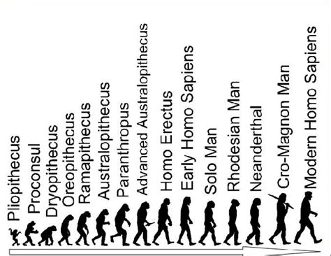 6 Schematic Diagram Of Evolution Of Modern Man Download Scientific