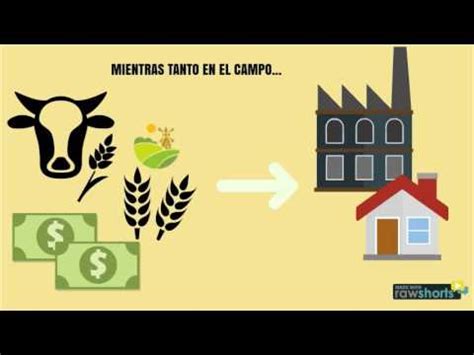 Desarrollo Estabilizador Youtube