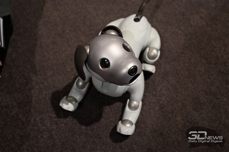 IFA 2018: самый милый робот, телевизор для гурманов и другие новинки ...