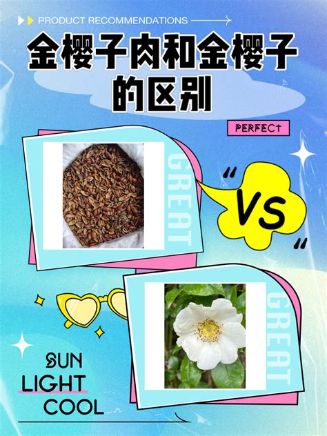 金樱子肉和金樱子的区别
