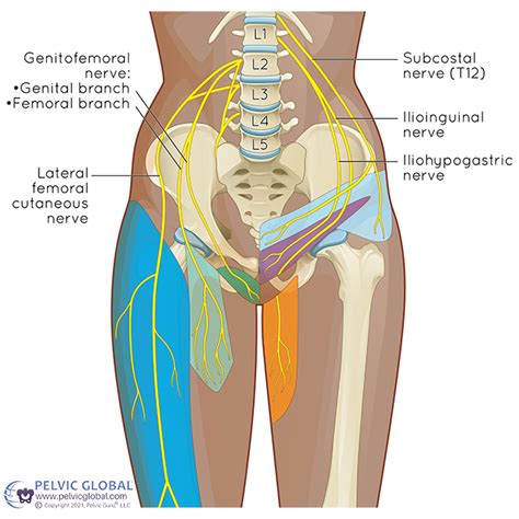 Healing Your Sex Life After A Cesarean Birth