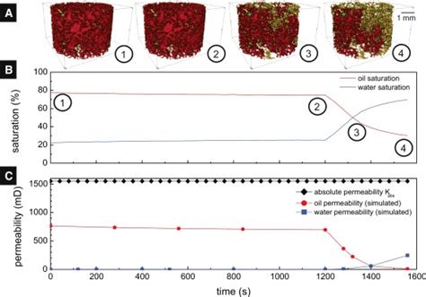 A Visualization Of The Non Wetting Phase Oil Distribution From μct Download Scientific