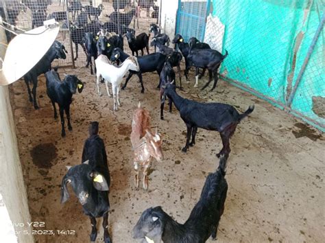 Jatin Singh Posted On Linkedin