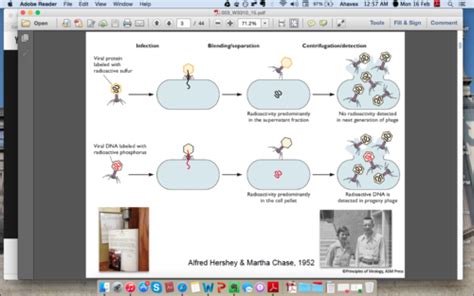Lecture 3 Flashcards Quizlet