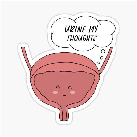 Urine My Thoughts Cute Bladder Sticker Sticker For Sale By Samw Creations Artofit