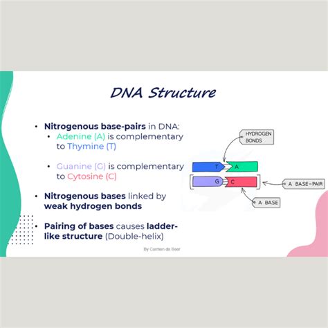 Grade 12 Caps Dna • Teacha