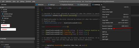 Reveal Gorootgopath In Side Bar · Issue 62729 · Microsoftvscode · Github