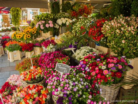 Paris Flower Market Shot Of The Beautiful Flowers In A Par Jeff
