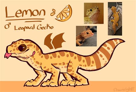 Lemon My Leopard Gecko D Cute Doodles Drawings Cute Gecko Cute Drawings