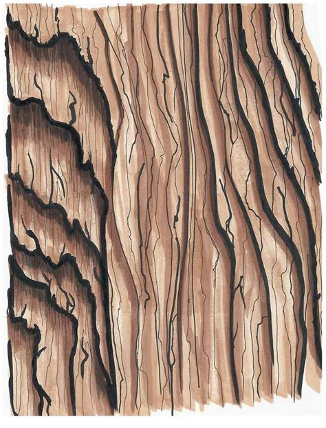 Drawing Wood Grain On Paper At Kathleen Flores Blog