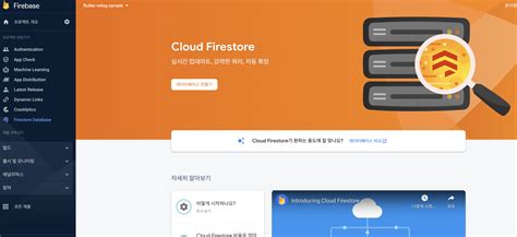 Flutter Firebase Firestore Database 사용해 보기 1편