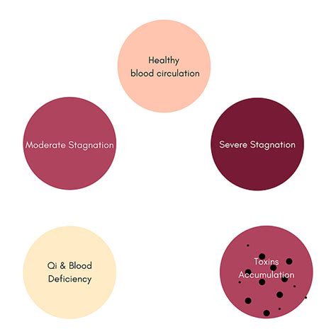 Cupping Dr Wang Wellness