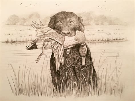 Duck Hunting Drawings At William Long Blog