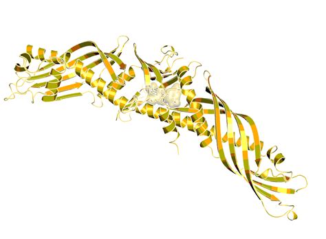 Cetp Inhibitor Bi 5756 Opnme Boehringer Ingelheim