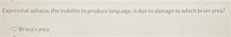 Solved Expressive Aphasia The Inability To Produce