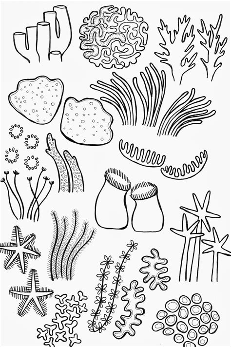 Ocean Plants Coloring Pages Free Coloring Pages