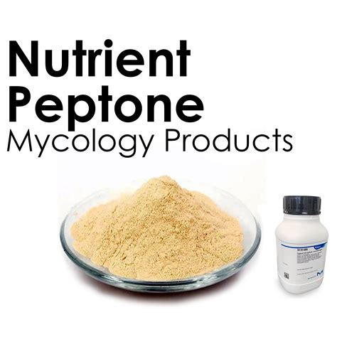 Peptone Nutrient Powder For Agar Liquid Cultures Mycology Biology 5