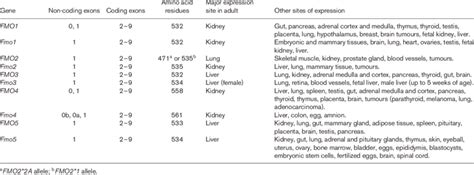 Fmo Genes Of Human And Mouse Download Table