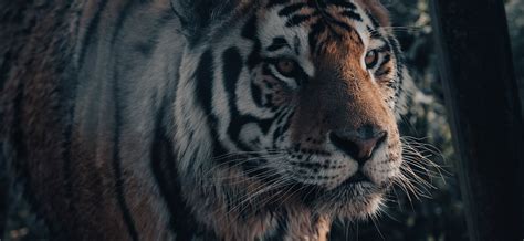 从第一性原理理解 Epoll Hedonwang