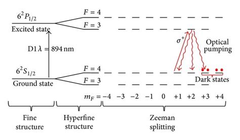 Fine Hyperfine Structures And Zeeman Splitting Of The Cesium D1 Line