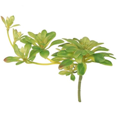 Suckulent Konstgjord Växt Med Plocka Aeonium Green 30cm 4 St