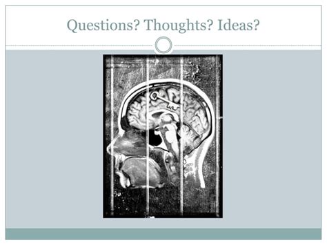 The Origins Of Domain Specificity Ppt