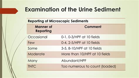 Microscopic Examination Of Urine Pdf Pdf