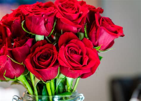 The Best Red Rose Varieties For Valentines Day Florist Melbourne