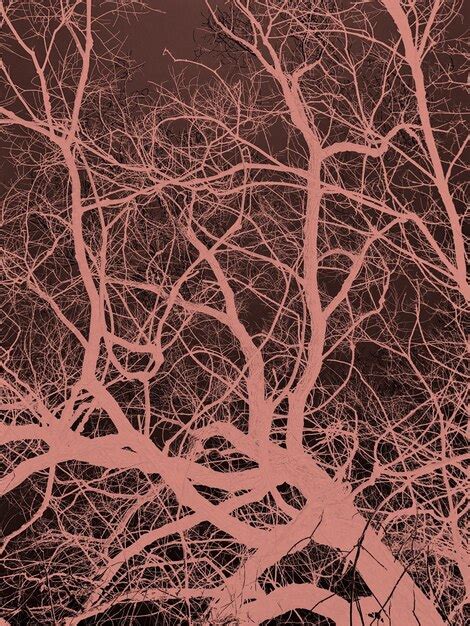 78 000 Tree Root Pattern Pictures