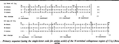 Figure 1 From Molecular Modelling Of Human Complement Subcomponent C1q And Its Complex With