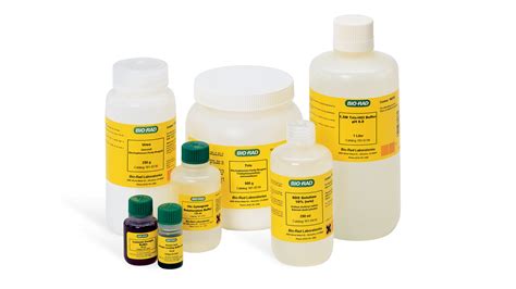 Western Blot Transfer Buffer Composition