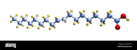Elaidic Acid Computer Model Of A Molecule Of Elaidic Acid A Trans