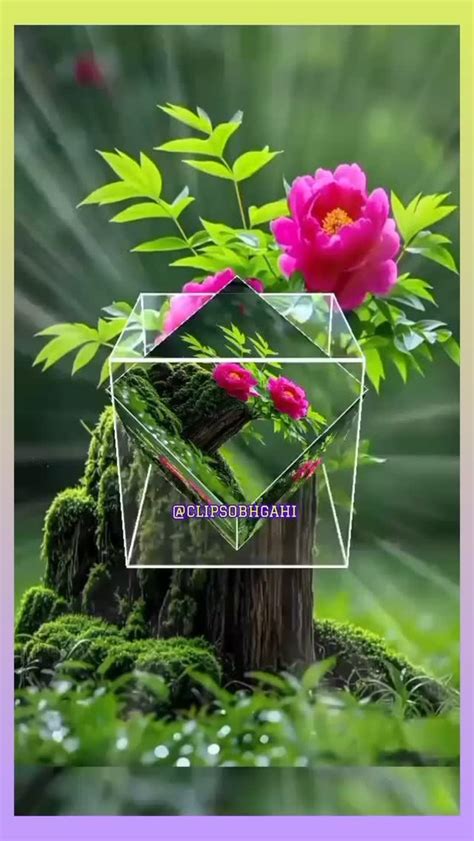 ‎سعید بیات‎ ‎🌷پیشاپیش‌عید‌مبعث‌بر‌شما‌دوستان‌گرامیم‌مبارک🌷 🌷درود‌وسلام‌خدا‌بر‌حضرت‌محمدص