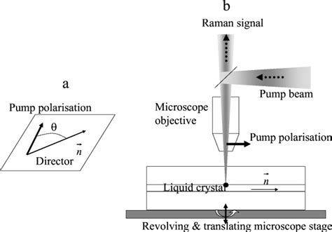 A Relative Orientation Of Pump Polarization Compared To The Director Download Scientific