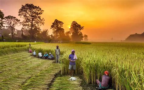 Farm To Table Innovations In Agriculture Sector In India Government