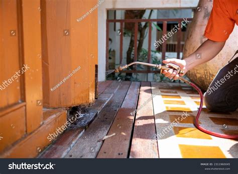 Pest Control Cycle Photos Images And Pictures Shutterstock