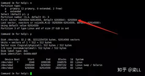Linux 在vmware虚拟机上扩容vgdisplay没有内容 Csdn博客