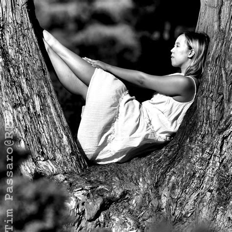 Img1793 Tree Nymph Tim Passaro Flickr