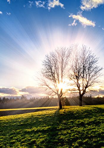 Mary Ann Jeffers Hallowell And James Obituaries