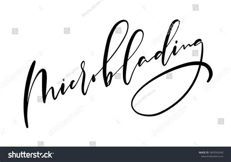 Microblading Brow Master Class Vector Calligraphy Stock Vector Royalty Free 1893592630