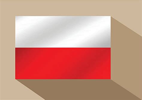 Poland Flag Vector Polish Flag Vector Vector Polish Flag Png And