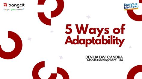 5 Ways Of Adaptability